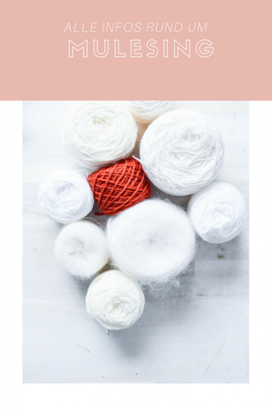 Mulesing- Was ist das? - Mein gehäkeltes Herz