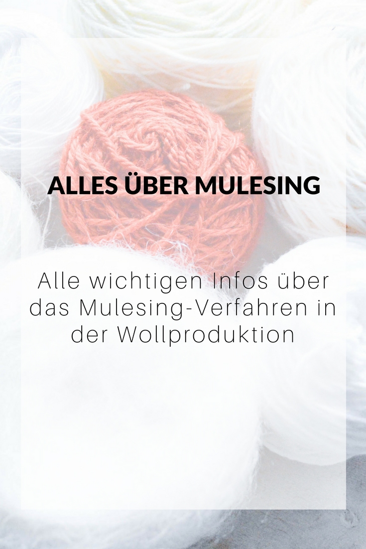 Mulesing- Was ist das? - Mein gehäkeltes Herz